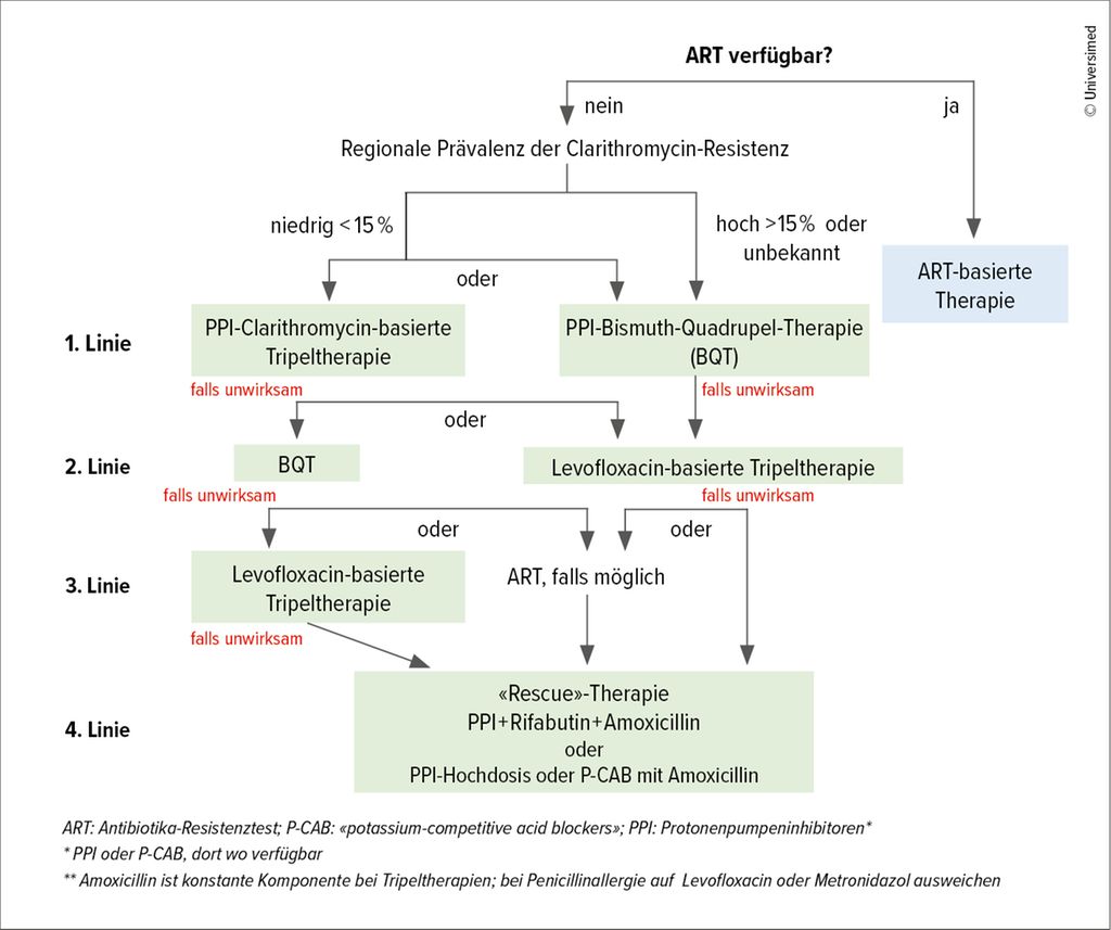 Update im therapeutischen Management der Helicobacter-pylori-Infektion - Gastroenterologie ...